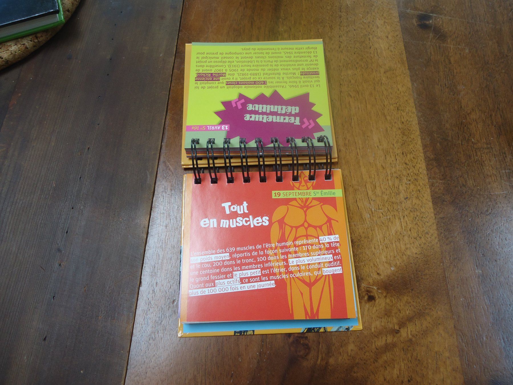 Calendrier perpétuel - 365 infos insolites (D'occasion) à Vessy pour ...