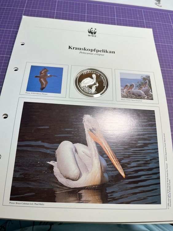 1 Medaille Krauskopfpelikan WWF (Neu und originalverpackt) in St ...