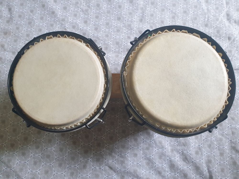 Trommeln set: Bongos (no name) (Gebraucht) in Zürich für CHF 35 – mit ...