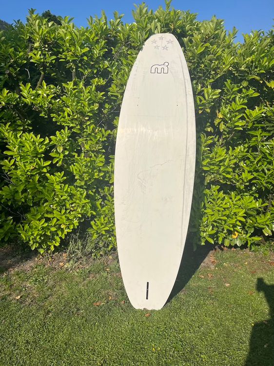 Windsurfboard Mistral Screamer 128l (Gebraucht) in für CHF 99 – nur ...