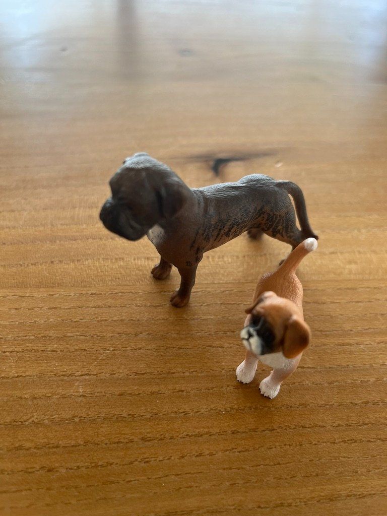 Schleich Boxer Rüde mit Jungtier (Gebraucht) in Weiningen ZH für CHF 5 ...