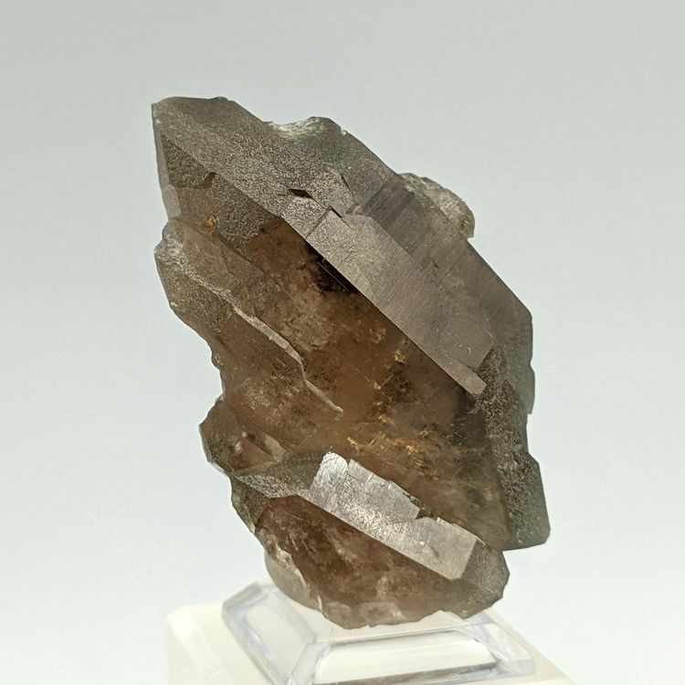 Rauchquarz Alpin mith CHLORIT, BITERMINIERT, Italien (Neu (gemäss Beschreibung)) in Balerna für ...