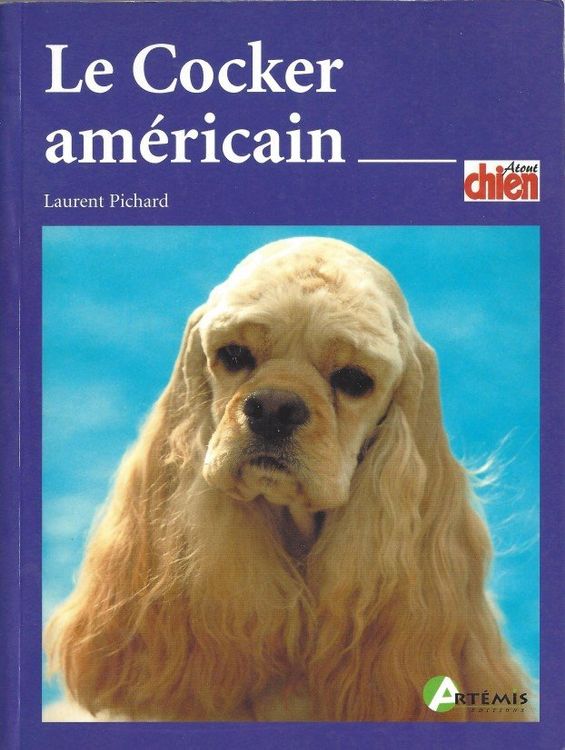 Le Cocker américain - chien (D'occasion) à Courtepin pour CHF 4 – avec ...