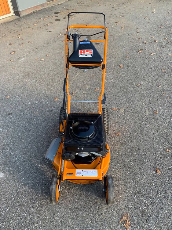 Rasenmäher AS 45 B4 (Gebraucht) in Rünenberg für CHF 200 – nur Abholung ...