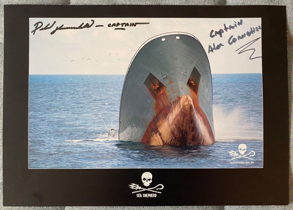 Sea Shepherd Poster 40 Jahre Jubiläum (Gebraucht) in für CHF 81 – mit ...