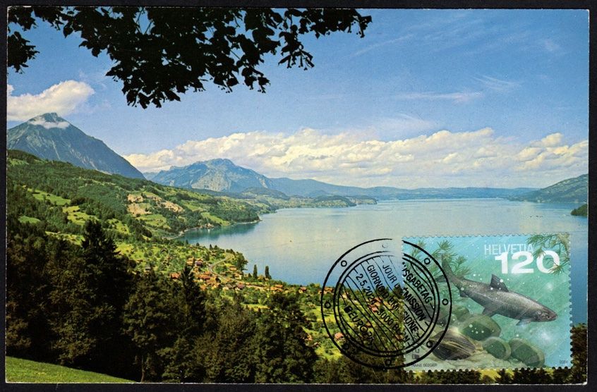 Maximumkarte EUROPA - Thunersee-Balchen (Neu (gemäss Beschreibung)) in Dottikon für CHF 4.5 ...