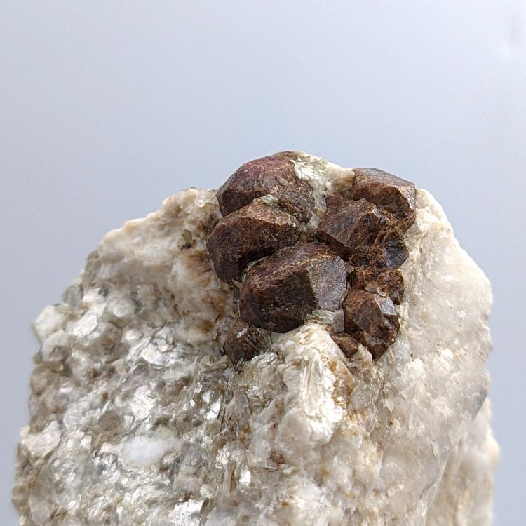 ALMANDIN, Roter GRANAT mit MUSKOVIT, Italien (Nuovo (secondo la ...