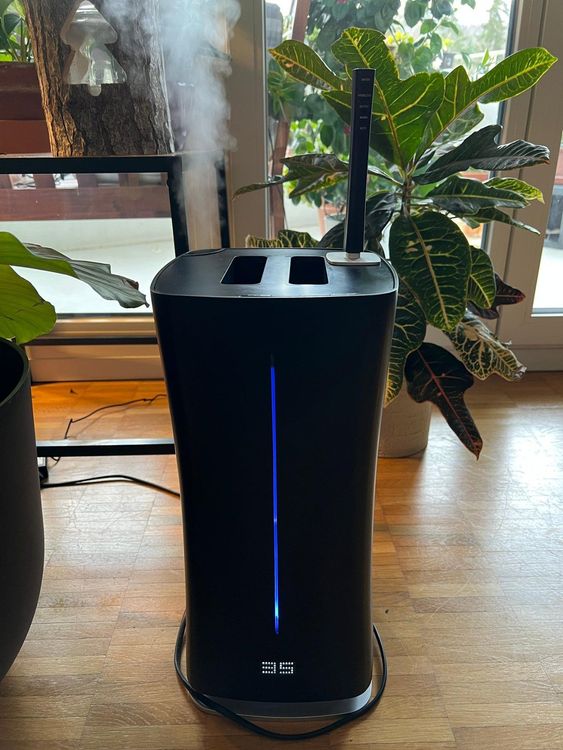 Stadler Form Eva (80 m²) | Kaufen auf Ricardo