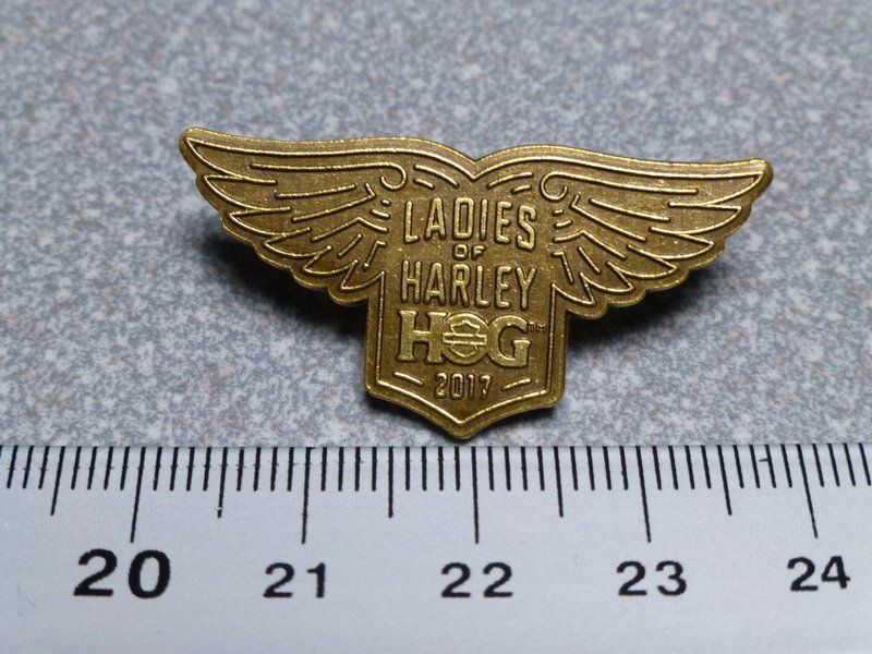 PIN PINS HARLEY DAVIDSON HOG Ladies of Harley | Kaufen auf Ricardo