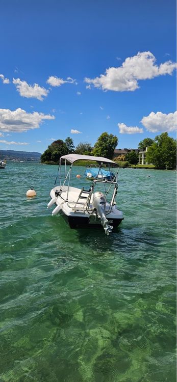 Motorboot Terhi Sea Fun 501 mit 8PS Motor (Gebraucht) in Hombrechtikon ...