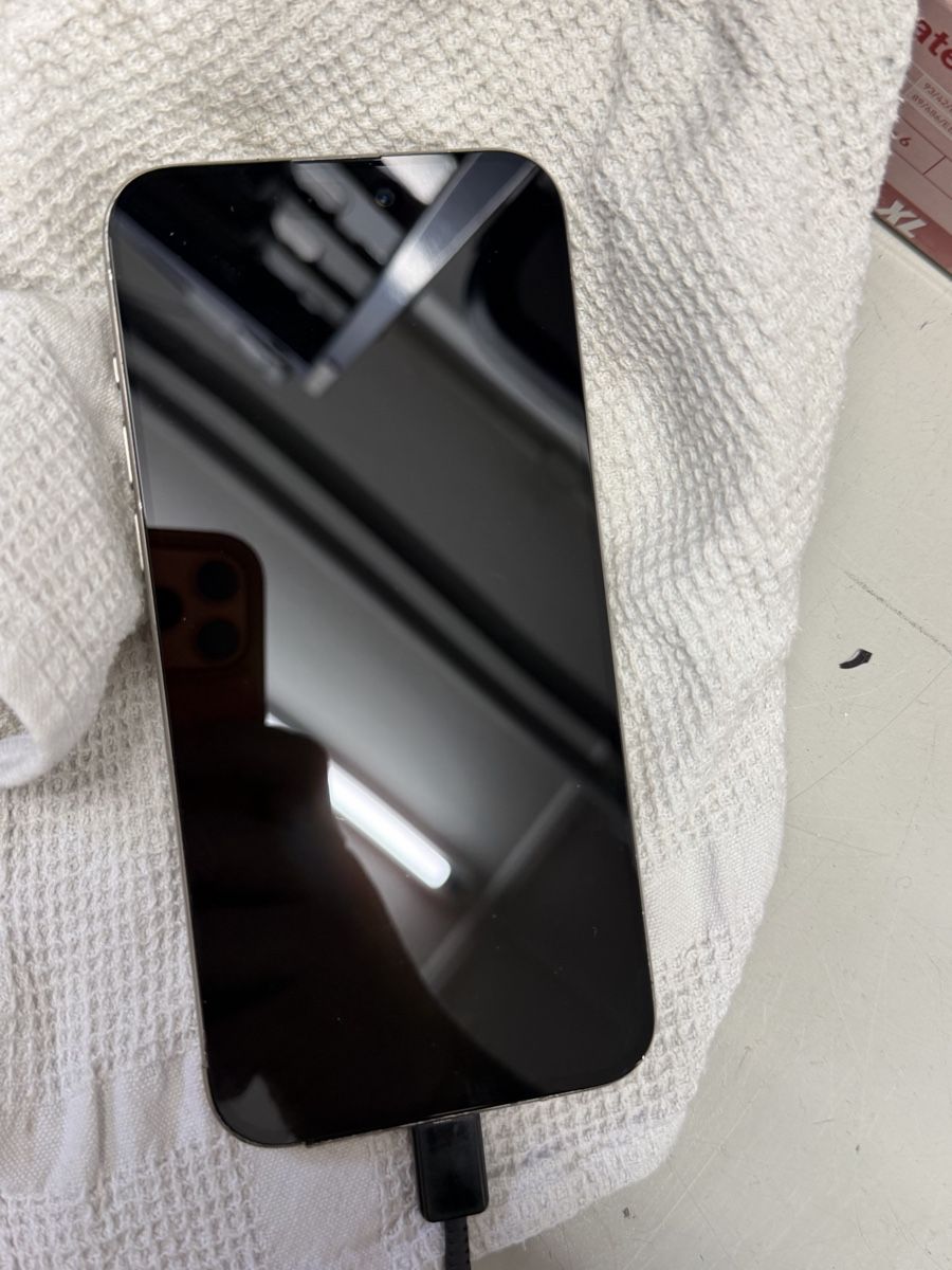 iPhone 15 Pro Max, 256 GB, Titan Grau, Batterie 85% (Defekt) in Liestal ...