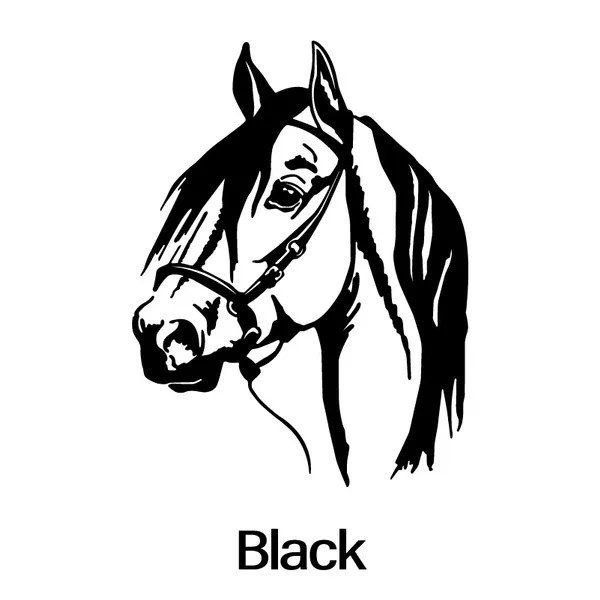 🐴 Lustiger Auto-Aufkleber «PFERD» für unterwegs! 🐎💫 (Neu und ...