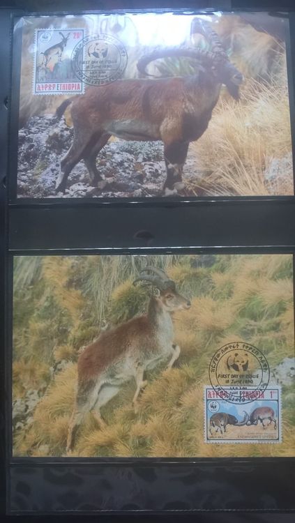 Äthiopien 1990 Satz WWF Steinbock Maximumkarten (Neu (gemäss Beschreibung)) in Liestal für CHF 3 ...