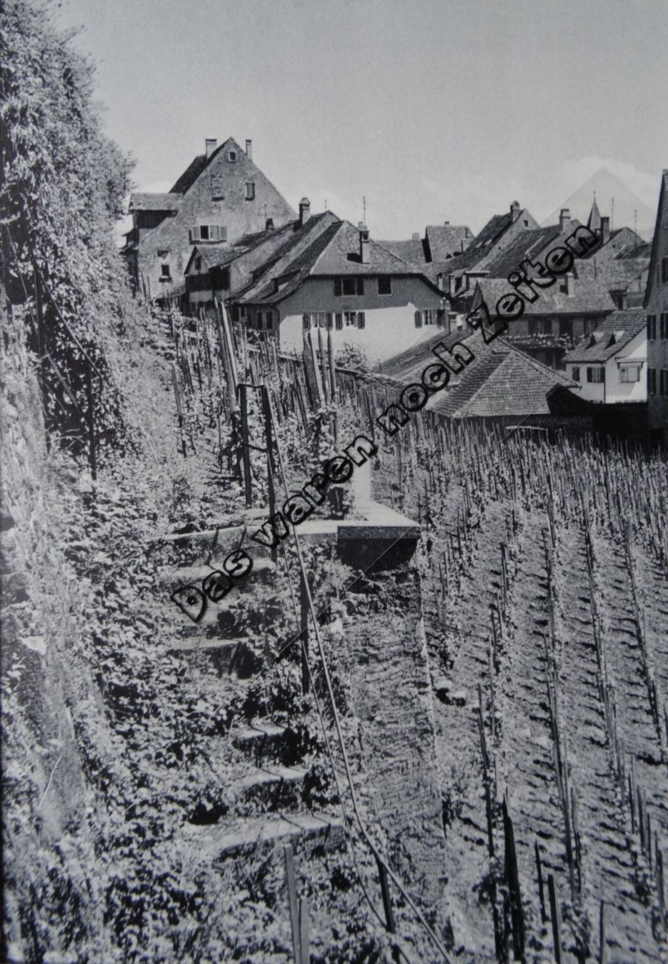 St. Gallen Rapperswil Rebberg am Schlossberg damals (Gebraucht) in ...