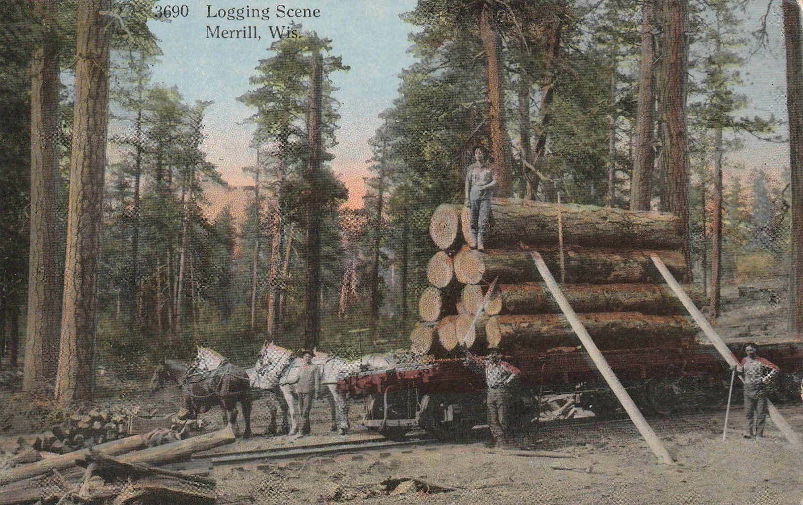 AK Logging Scene Merill Wis / AK Holz Transport um 1918 (Gebraucht) in ...