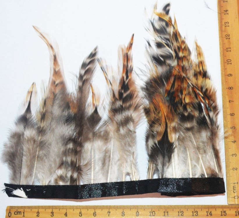 Deko Federn 479 – Band mit Federn – Fasan –Girlande- 1 Meter (Neu und ...