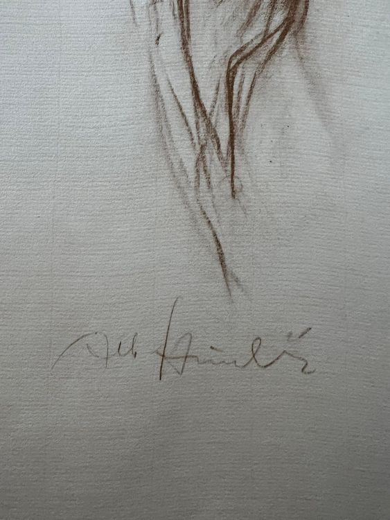 Damen Akt Zeichnung unleserlich signiert. (Gebraucht) in Neuhausen am Rheinfall für CHF 5 – mit ...