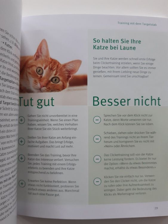 GU Ratgeber : Clickertraining für Katzen | Kaufen auf Ricardo GU Ratgeber : Clickertraining für Katzen | Kaufen auf Ricardo