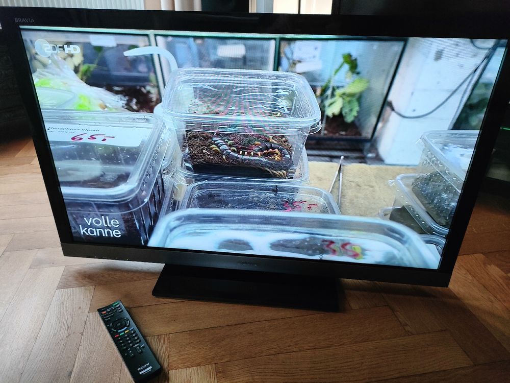 Sony LCD Full HD TV KDL-40EX600 (Neu (gemäss Beschreibung)) in ...