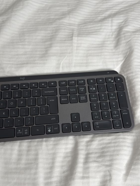 Logitech MX Keys (Dual Layout Windows/Mac) – Top Zustand (Gebraucht) in ...