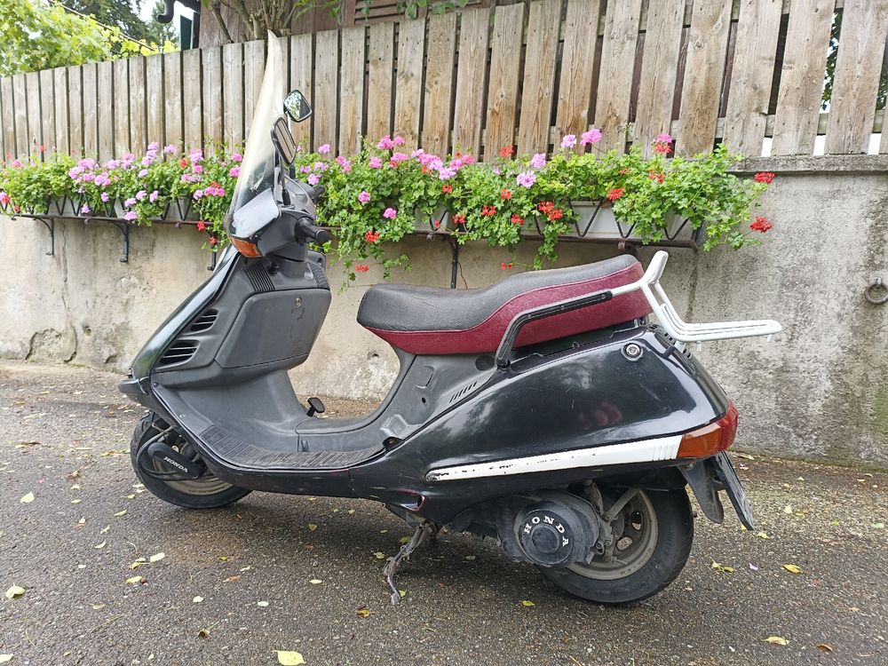 Honda Spacy 125ccm Roller Scooter (Gebraucht) in Düdingen für CHF 389 ...