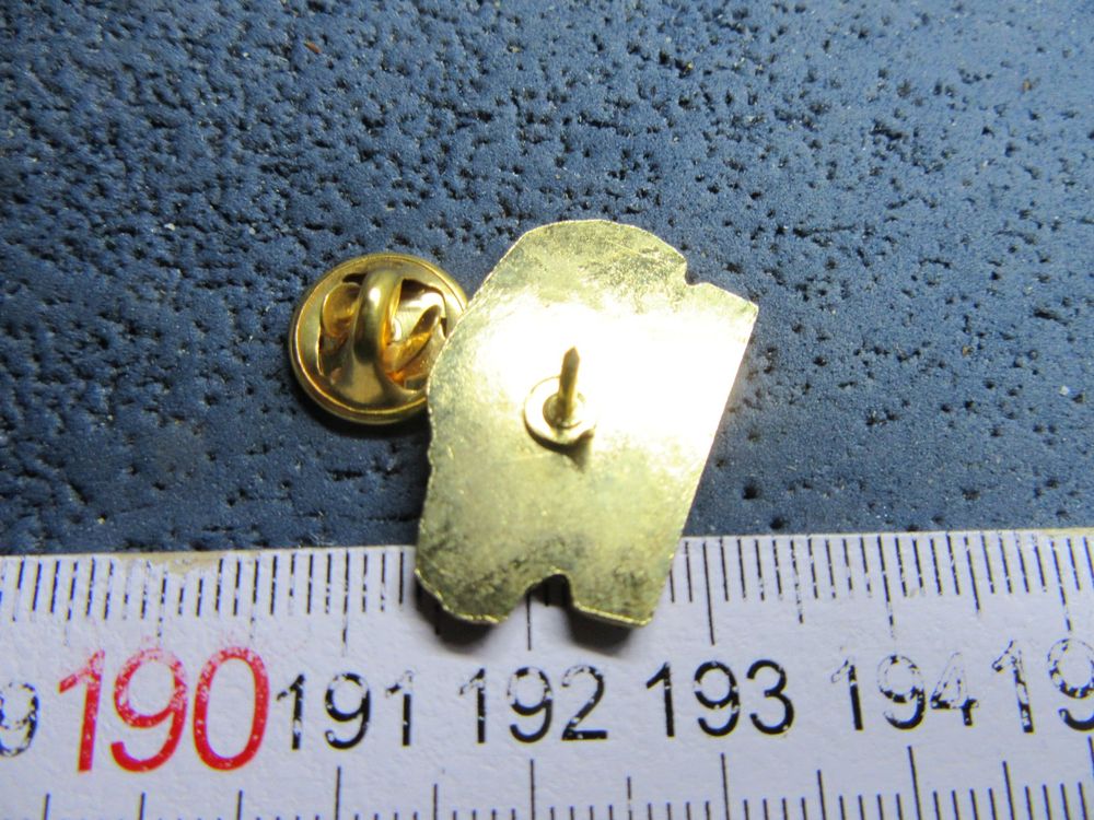 VW GOLF AUTO PIN (Gebraucht) in Ettingen für CHF 0.95 – mit Lieferung ...