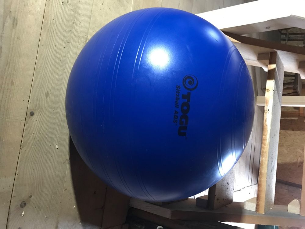 Gymnastikball Sitzball Togu 75cm Spielball Kinder Pferde | Kaufen auf ...