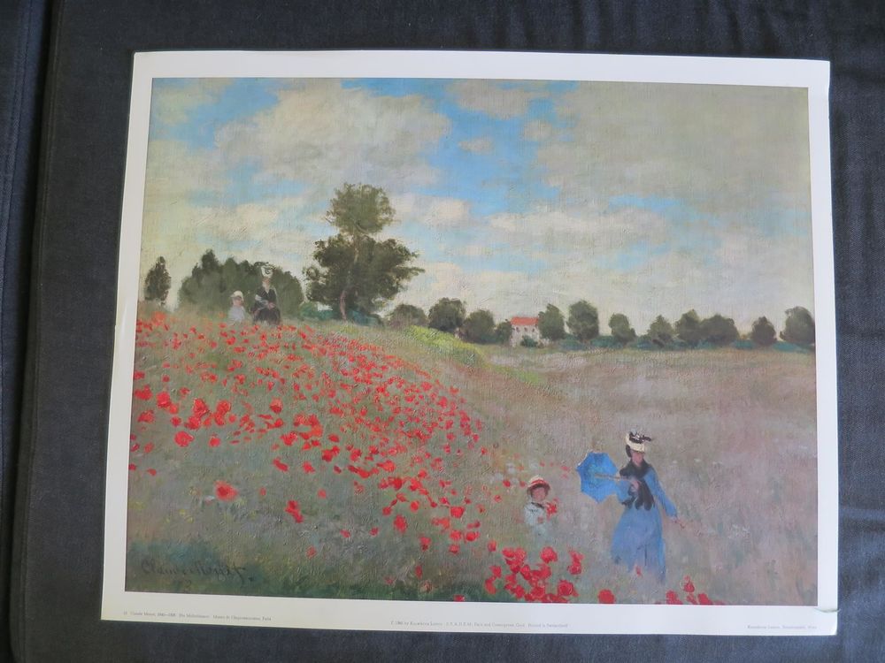 Claude Monet; die Mohnblumen (Gebraucht) in basel für CHF 6 – mit Lieferung auf Ricardo kaufen