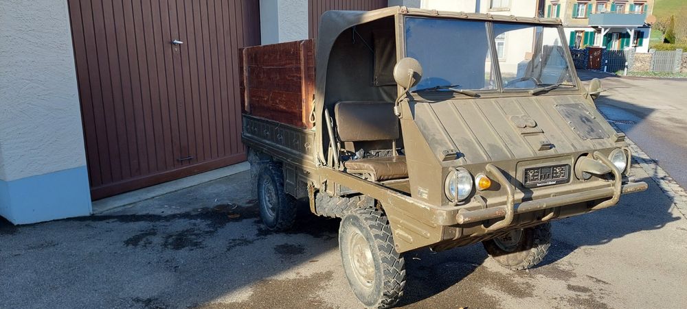 Steyr Puch HAFLINGER (Gebraucht) in Bütschwil für CHF 11880 – nur Abholung auf Ricardo kaufen