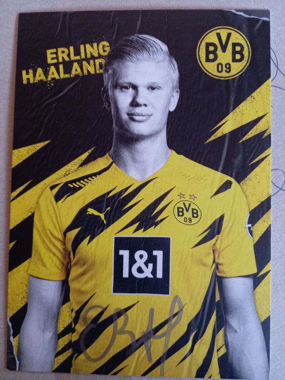 Erling Haaland original Autogrammkarte 100% original (Gebraucht) in ...