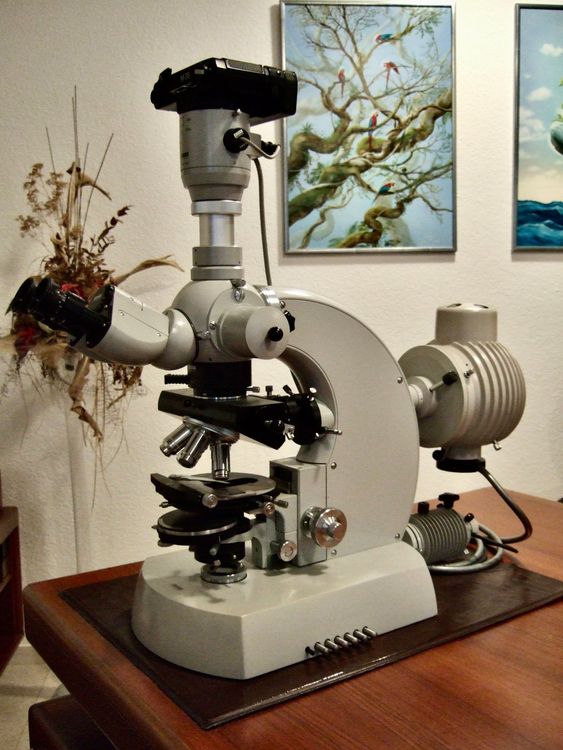 ZEISS Universal- Mikroskop mit ZEISS- Kamera "M35" & Winder (Gebraucht ...