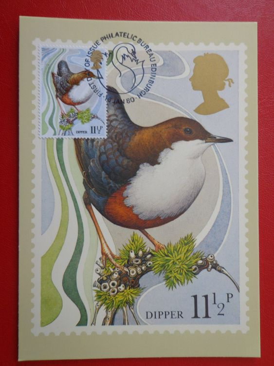 Maximumkarte MK 16.1.1980 Schottland/ England TIERE VÖGEL | Kaufen auf Ricardo