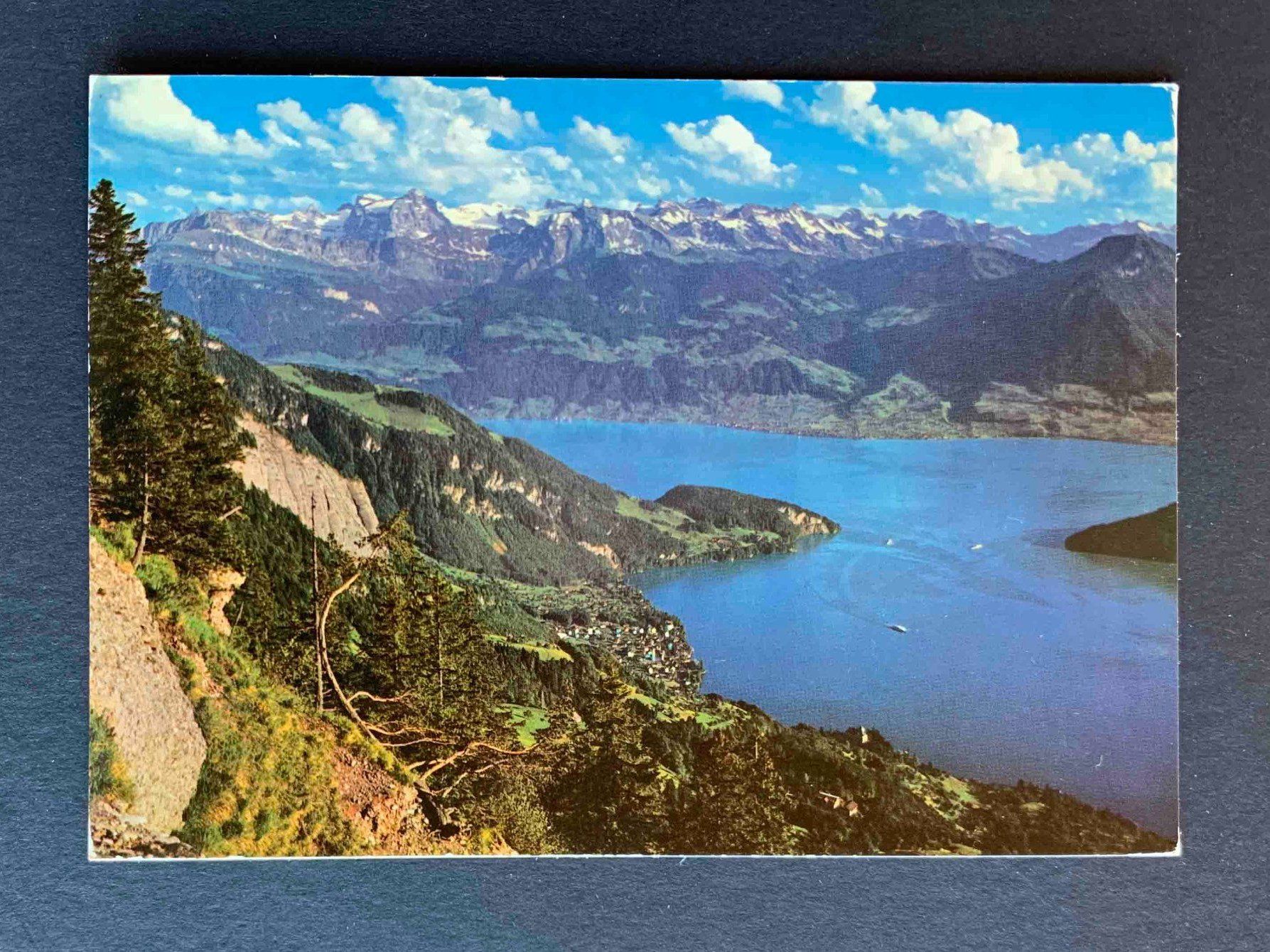 AK Rigi Felsenweg Vitznau Urner Nidwaldner Alpen (Gebraucht) in Goldau ...