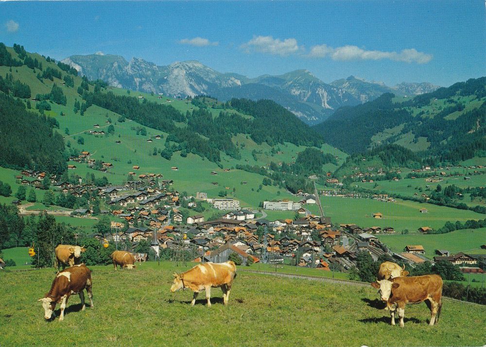 Zweisimmen E. Gyger gel. 1985? (Gebraucht) in Luzern für CHF 3.8 – mit ...