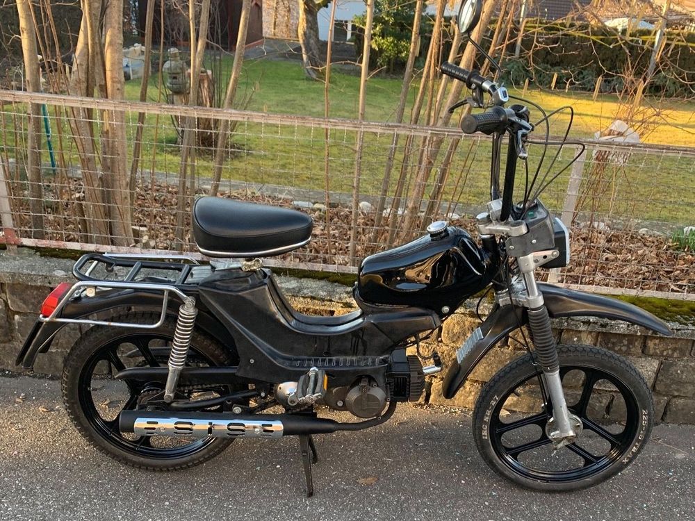 Pony Cilo (Gebraucht) in Schüpfheim für CHF 1500 – nur Abholung auf ...