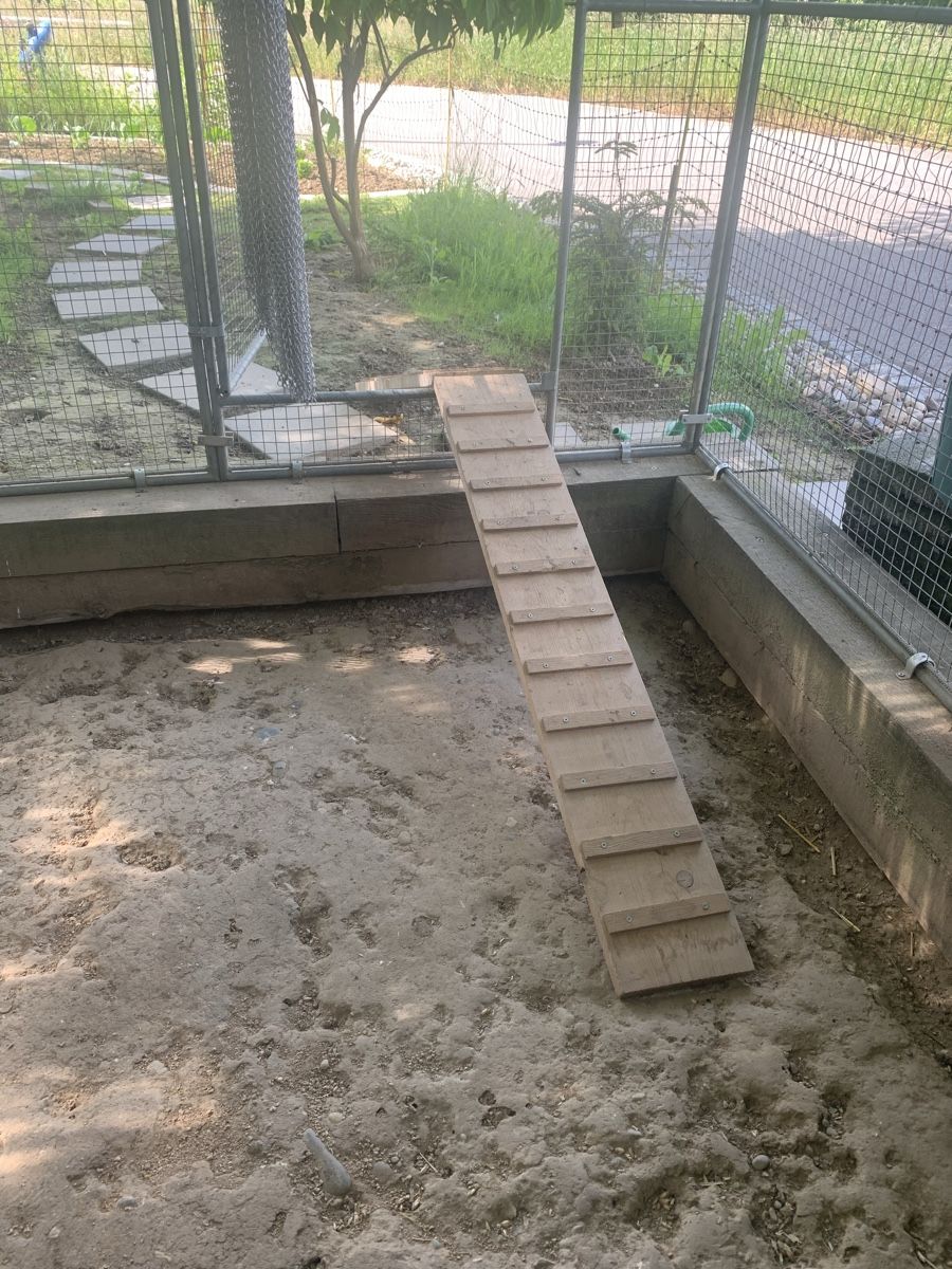 Hühnerstall mit überdachten Auslauf 🐔👍🏻 (Gebraucht) in Zuchwil für CHF 2100 – nur Abholung auf ...