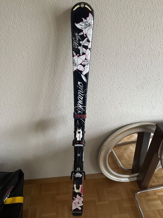Dynamic Ski Carver 152cm mit Skisack (Gebraucht) in Thalwil für CHF 31 ...