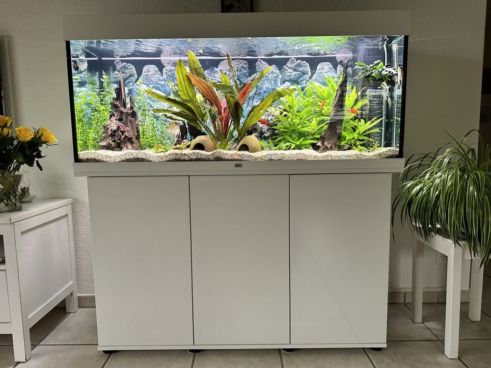 Juwel Aquarium Komplett (Gebraucht) in Hilterfingen für CHF 800 – nur Abholung auf Ricardo kaufen