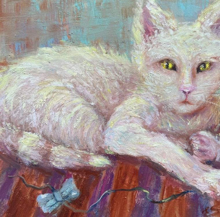 Bild Katze | Kaufen auf Ricardo