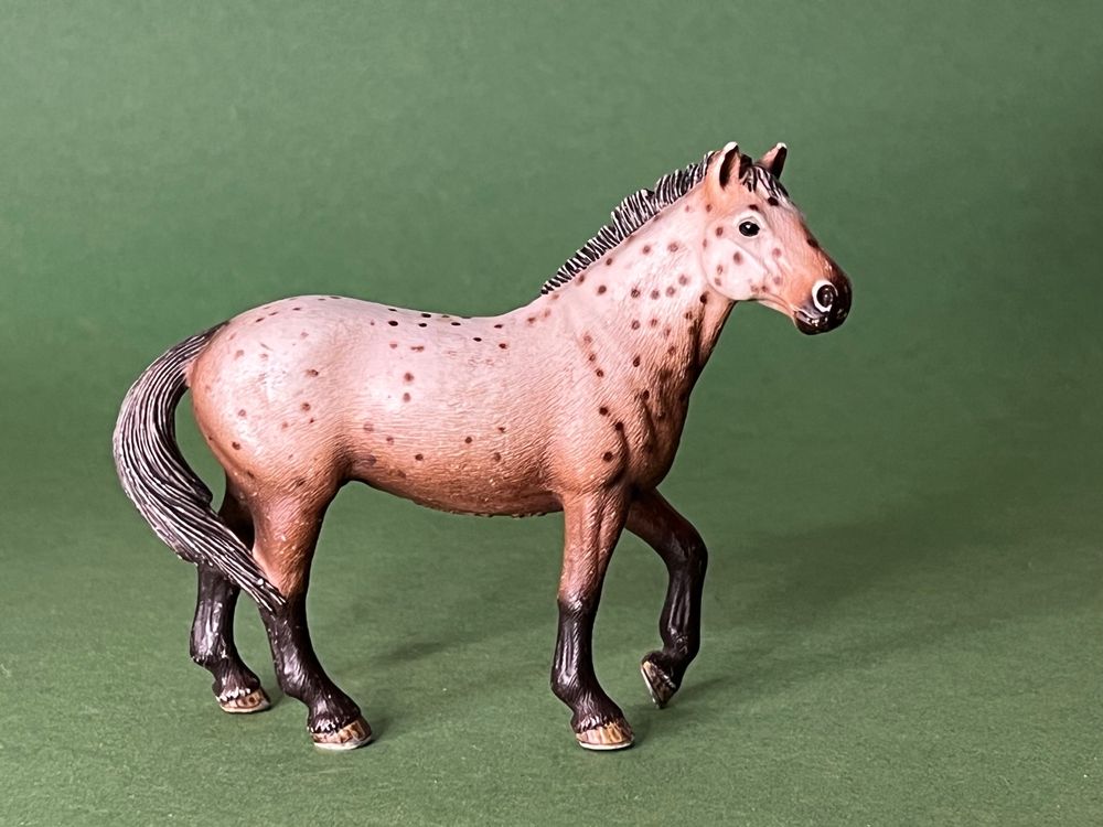 Schleich 13689 Knabstrupper Hengst Pferd | Kaufen auf Ricardo
