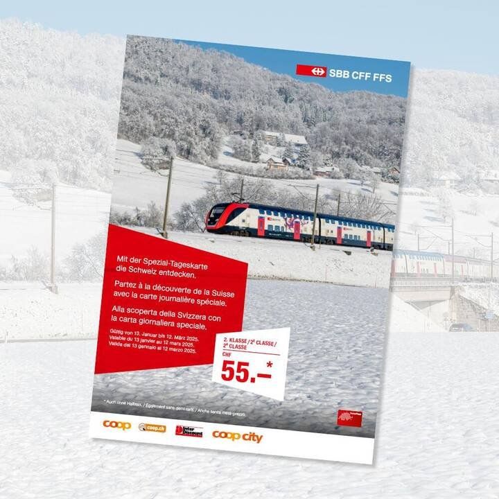 Carte journalière CFF Tageskarte SBB | Kaufen auf Ricardo