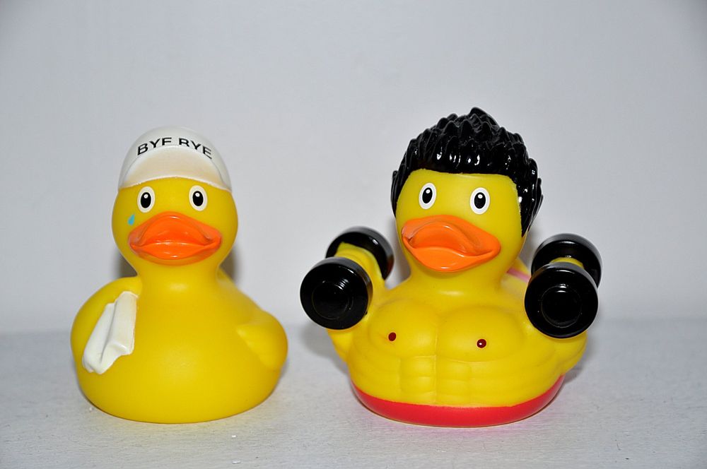 2 BADEENTEN Schwimmenten Bodybuilding & Bye Bye neuwertig | Kaufen auf ...