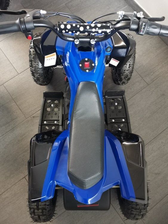 Kinderquad Mini ATV Quad 1300 Watt 48V (Neu und originalverpackt) in ...