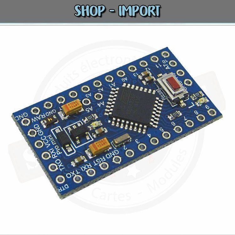 Carte Arduino Pro mini 168 16M (Neu und originalverpackt) in Chavannes ...