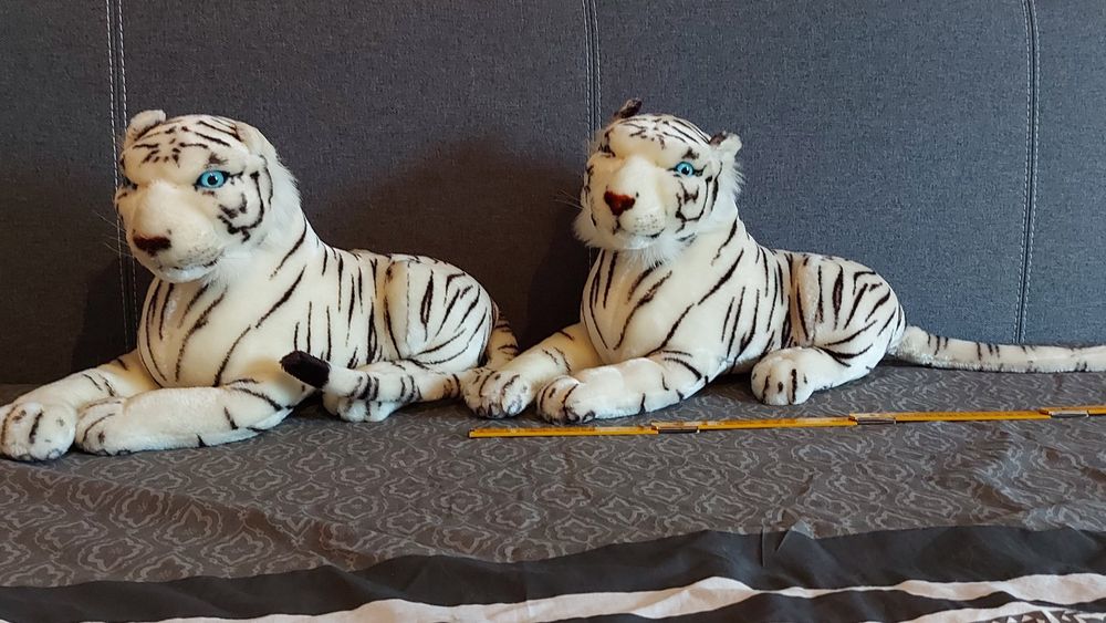 Tieger (Gebraucht) in Helgisried für CHF 8.5 – mit Lieferung auf ...