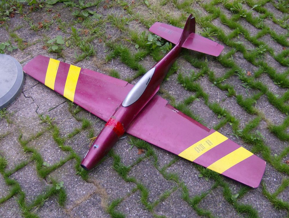 Altes Pylon-Modell von Roger Riedener (Difettoso) a rorschach per CHF ...