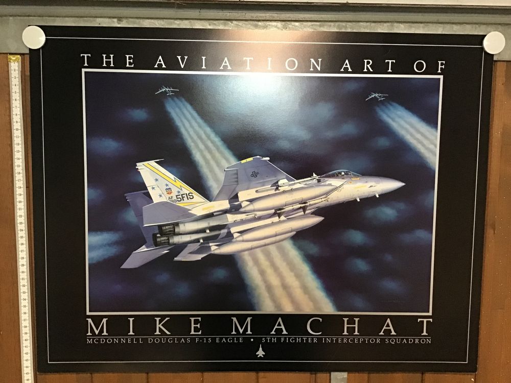Leinwandbild Mike Machat F-15 Eagle (Gebraucht) in Männedorf für CHF 15 ...