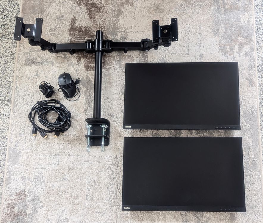 2 Lenovo ThinkVision T24i-10 Monitors+ Dual Desk Mount (Neu (gemäss ...