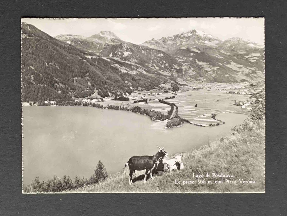 AK Lago di Poschiavo Le prese con Pizzo Verona (Gebraucht) in Goldau ...