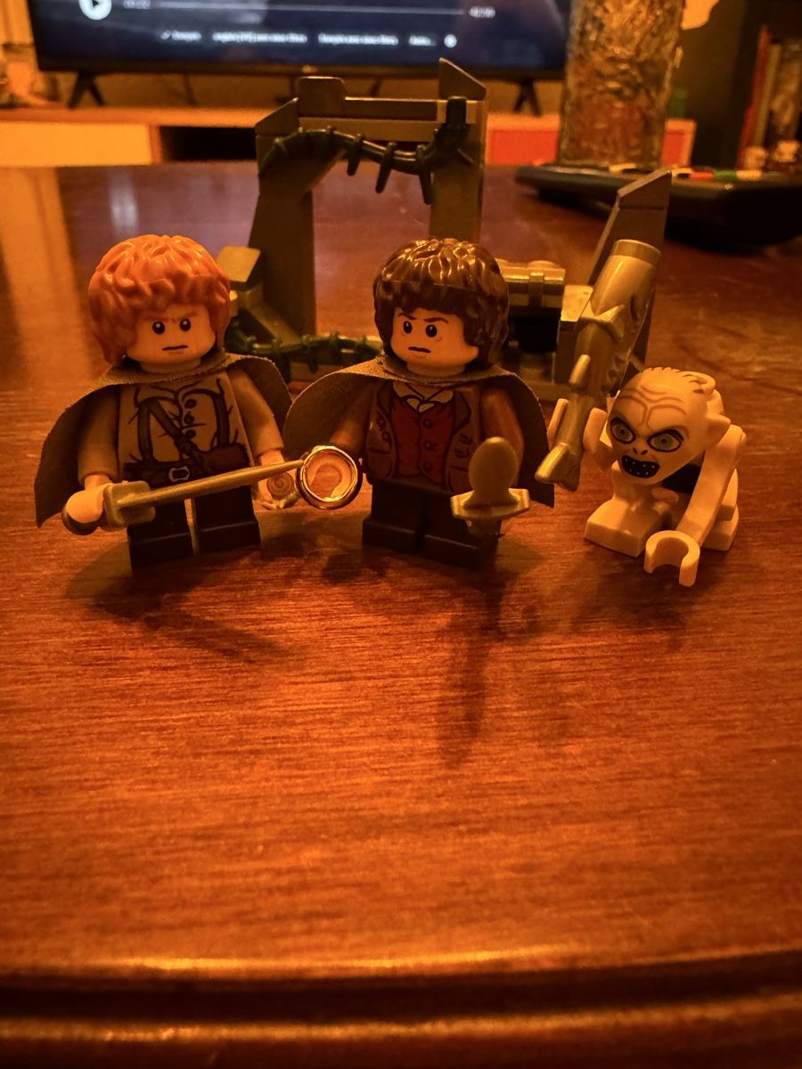 LEGO The Lord of The Rings 9470 Shelob Attacks (Gebraucht) in St ...